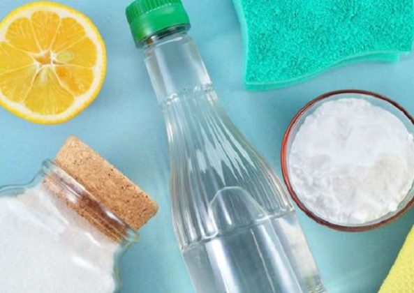 What Is The Best Thing To Absorb Odors? | The Flavour Kitchen